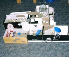 Kidsweb - Hamster-ABC für Kinder im kidsweb.de